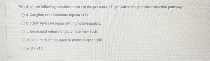 Solved Which of the following activities occurs in the | Chegg.com