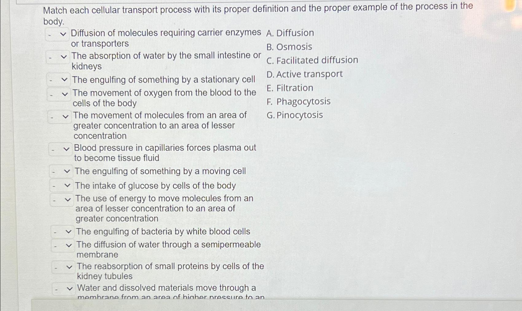 Solved Match each cellular transport process with its proper | Chegg.com