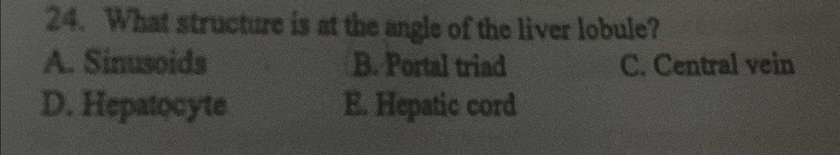 Solved What structure is at the angle of the liver lobule?A. | Chegg.com