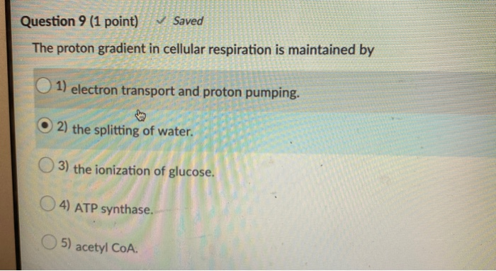 Solved ve Question 9 (1 point) Saved The proton gradient | Chegg.com