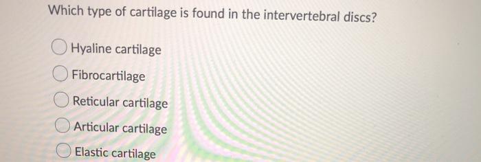 Solved Which type of cartilage is found in the | Chegg.com