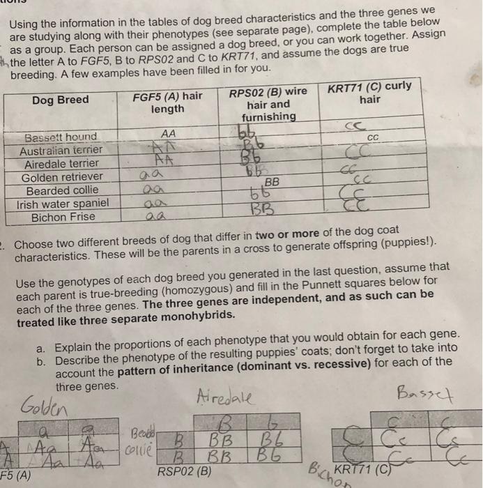 Use the genotypes of each dog breed you generated in | Chegg.com