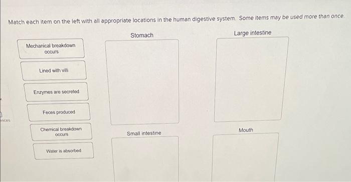 Solved Match each item on the left with all appropriate | Chegg.com