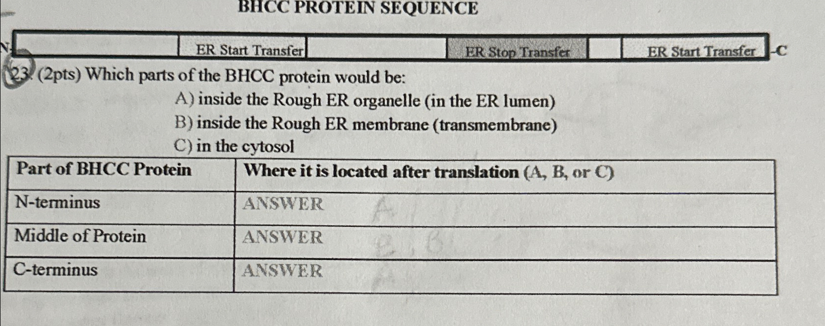 Solved A. ﻿The Trp Repressor protein changes conformation | Chegg.com