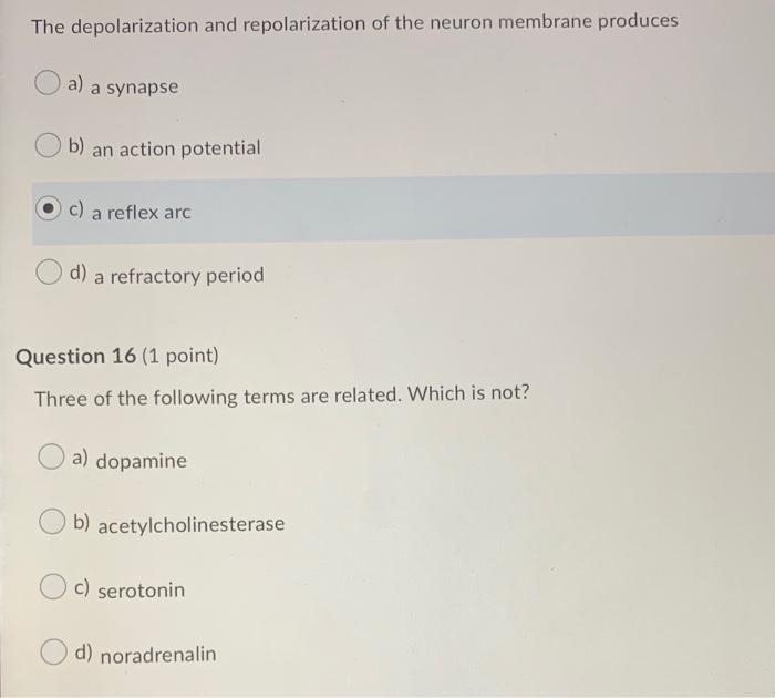 Solved The depolarization and repolarization of the neuron | Chegg.com