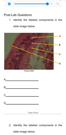 Solved Post-Lab Questions 1. Identify the labeled components | Chegg.com