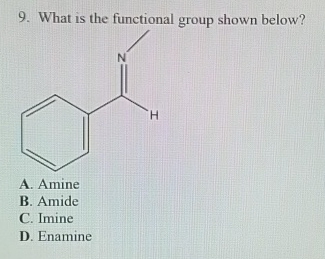 Solved What is the functional group shown below?A. ﻿AmineB. | Chegg.com