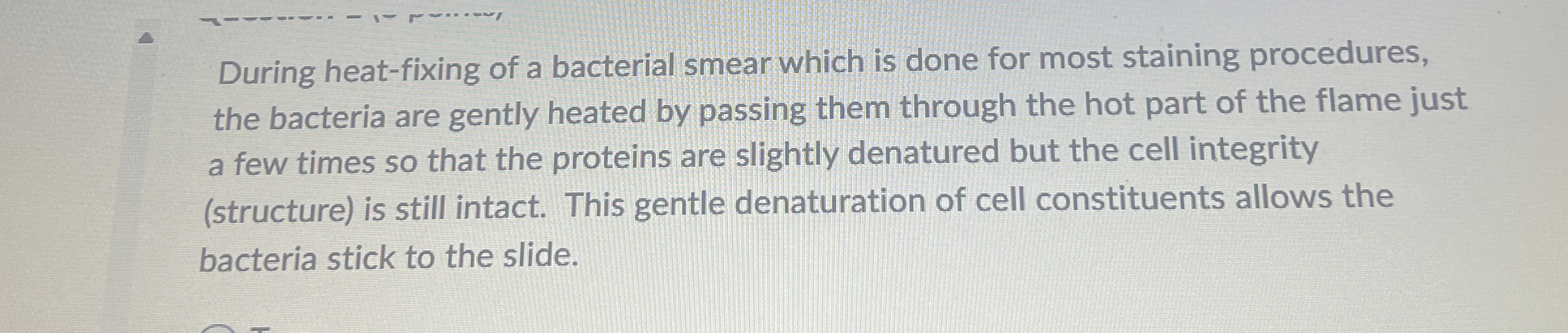 Solved During heat-fixing of a bacterial smear which is done | Chegg.com