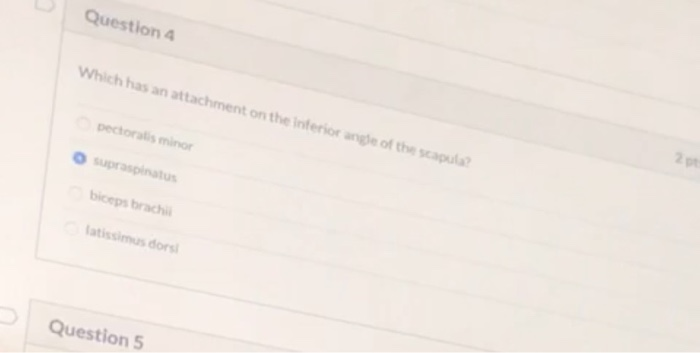 Solved I am not sure if my answer is right or not so if | Chegg.com