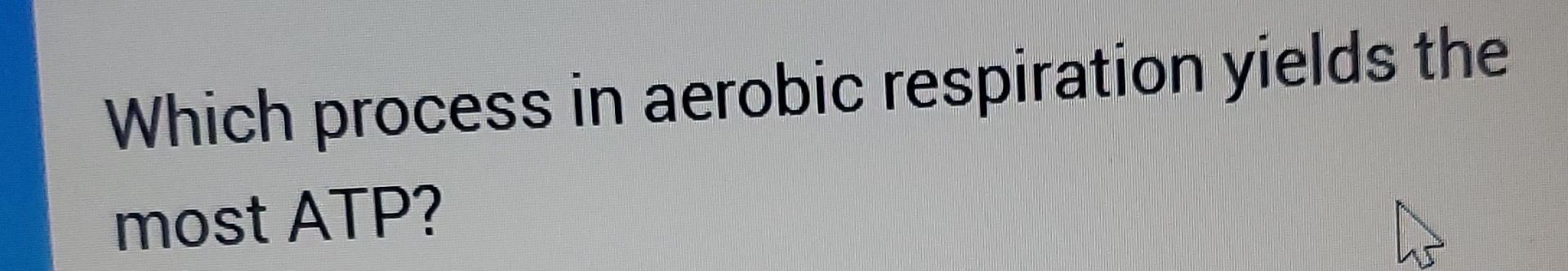 Solved Which process in aerobic respiration yields the most | Chegg.com