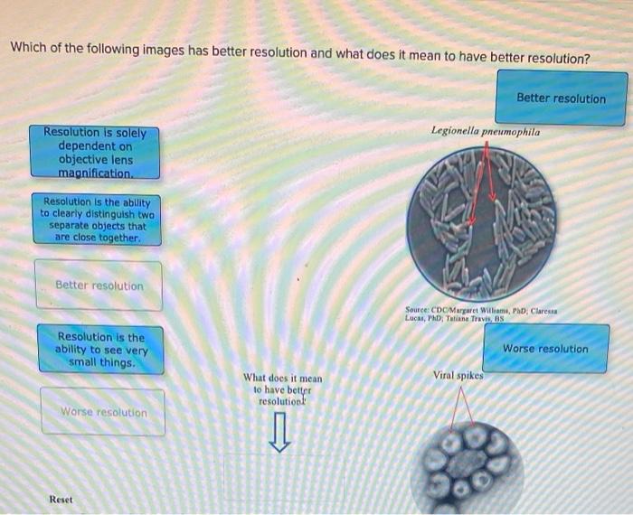 Solved Which of the following images has better resolution | Chegg.com