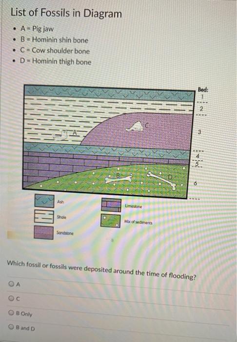 Solved The diagram below represents an "outcrop" or a rocky | Chegg.com