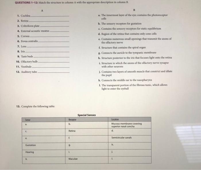 Solved QUESTIONS 1-12: Match the structure in column A with | Chegg.com