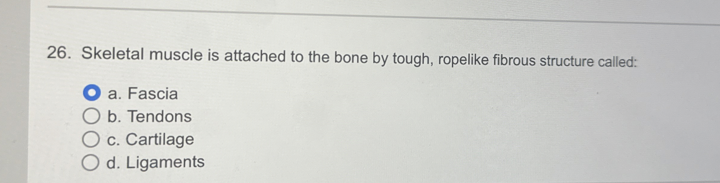 Solved Skeletal muscle is attached to the bone by tough, | Chegg.com
