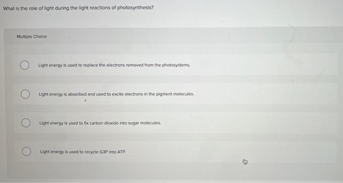 Solved What is the role of light during the light reactions | Chegg.com