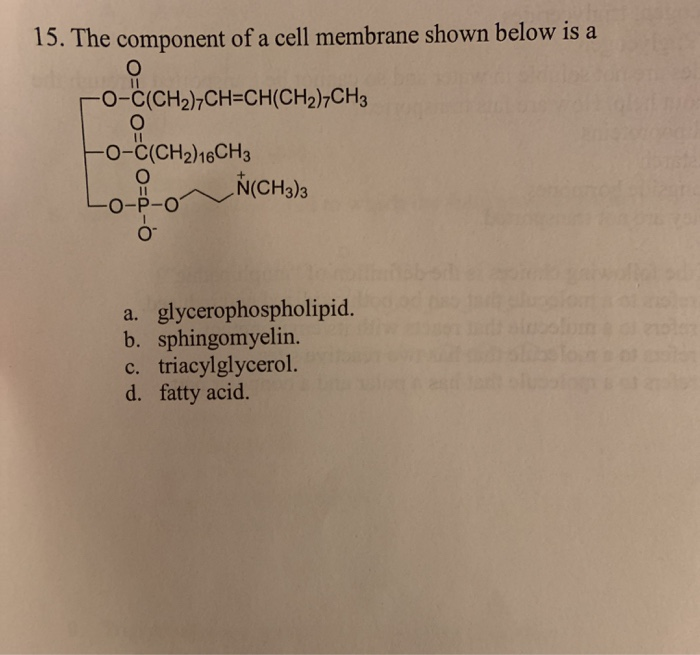 Solved 11. Which of the following partial structures is an | Chegg.com