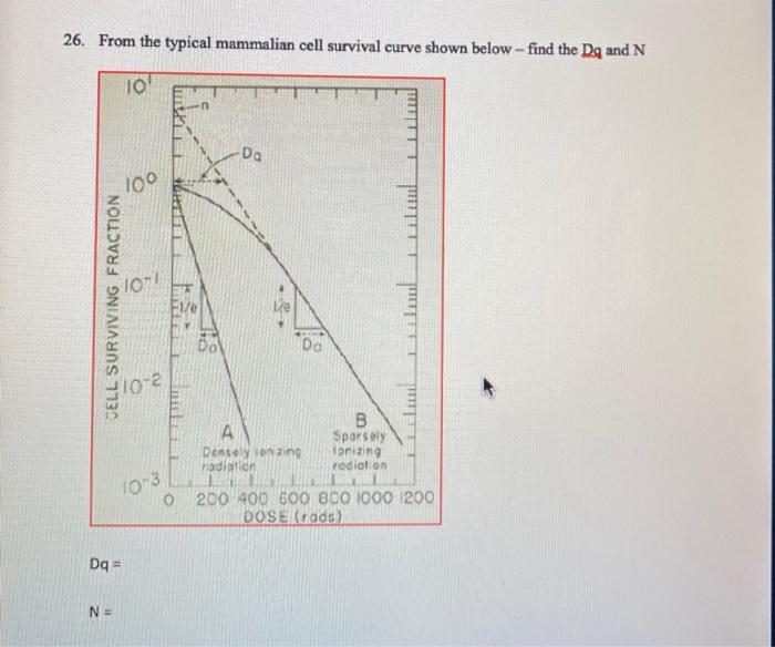 Solved 26. From the typical mammalian cell survival curve | Chegg.com