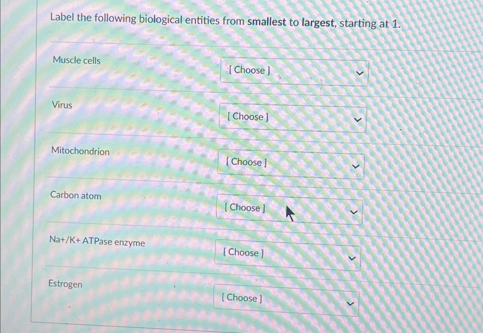 Solved Label the following biological entities from smallest | Chegg.com