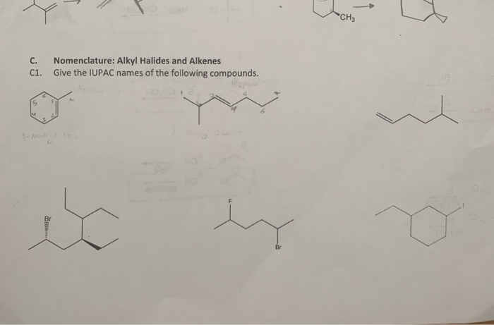 Solved "CHE C. Nomenclature: Alkyl Halides and Alkenes C1. | Chegg.com