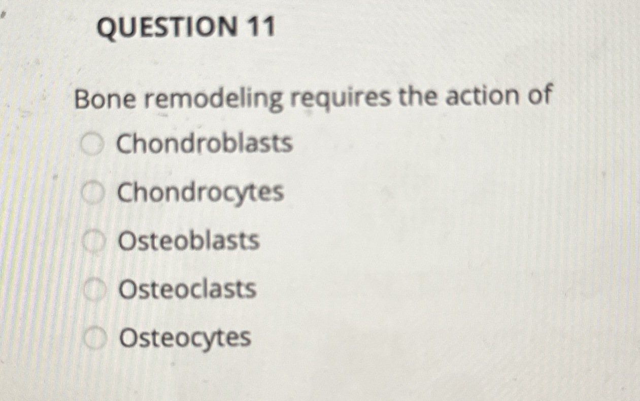 Solved QUESTION 11Bone remodeling requires the action | Chegg.com