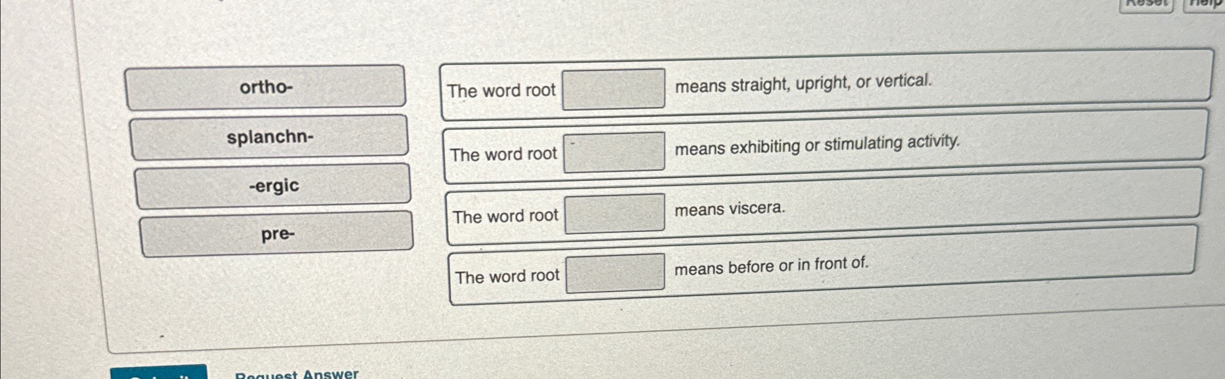 Solved The word rootmeans straight, upright, or | Chegg.com