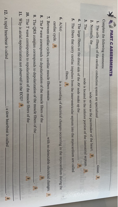 Solved PART C ASSESSMENTS Complete the following statements: | Chegg.com