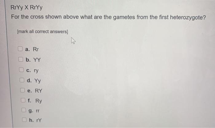 Solved RrYy X RrYy For the cross shown above what are the | Chegg.com