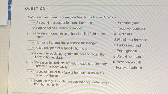 Solved Match each term with its corresponding description or | Chegg.com