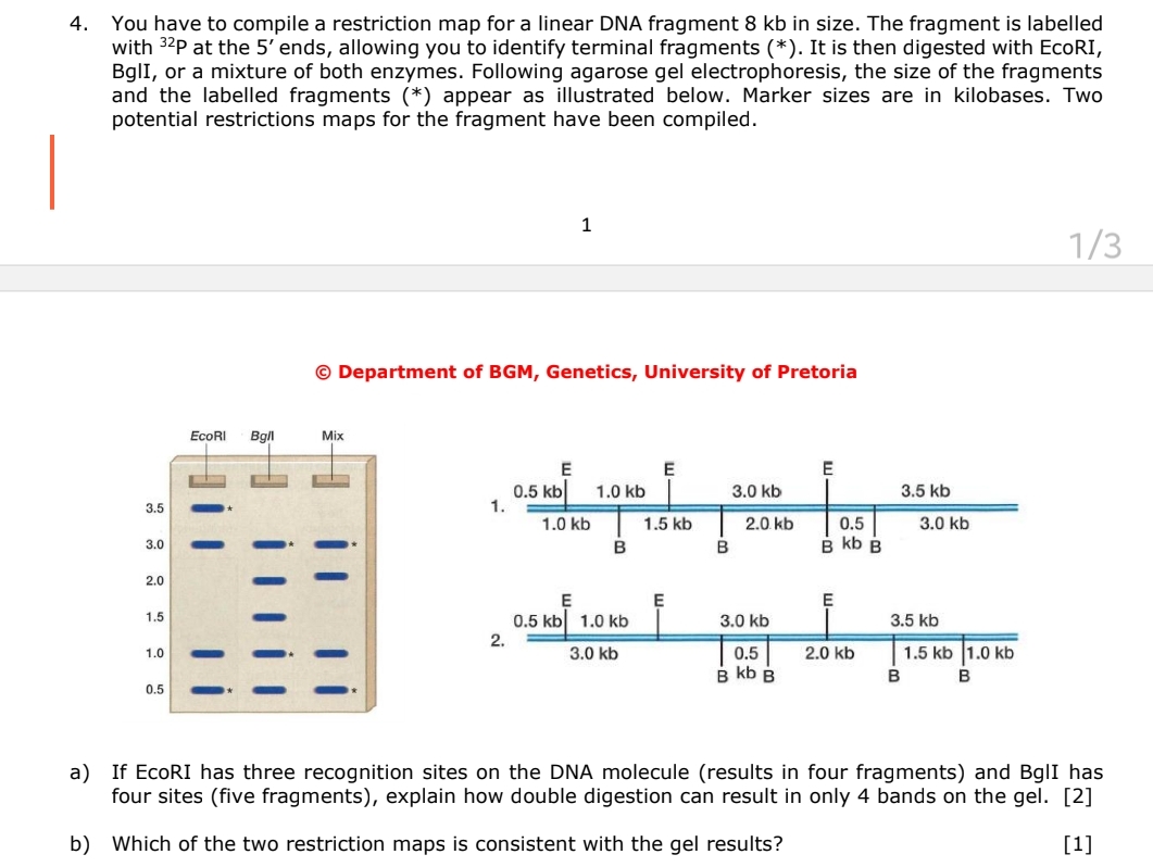 Solved You have to compile a restriction map for a linear | Chegg.com