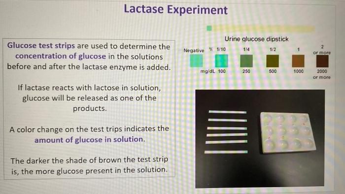 Solved Lactase Experiment This experiment we will test the | Chegg.com