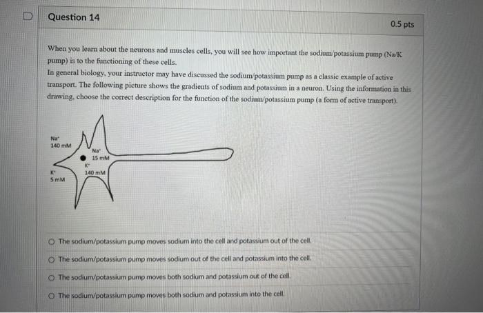 Solved When you learn about the neurons and muscles cells, | Chegg.com