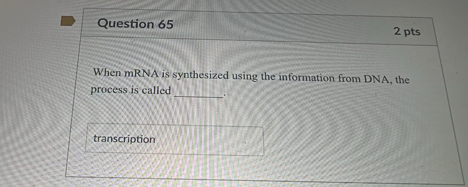 Solved Question 652 ﻿ptsWhen mRNA is synthesized using the | Chegg.com
