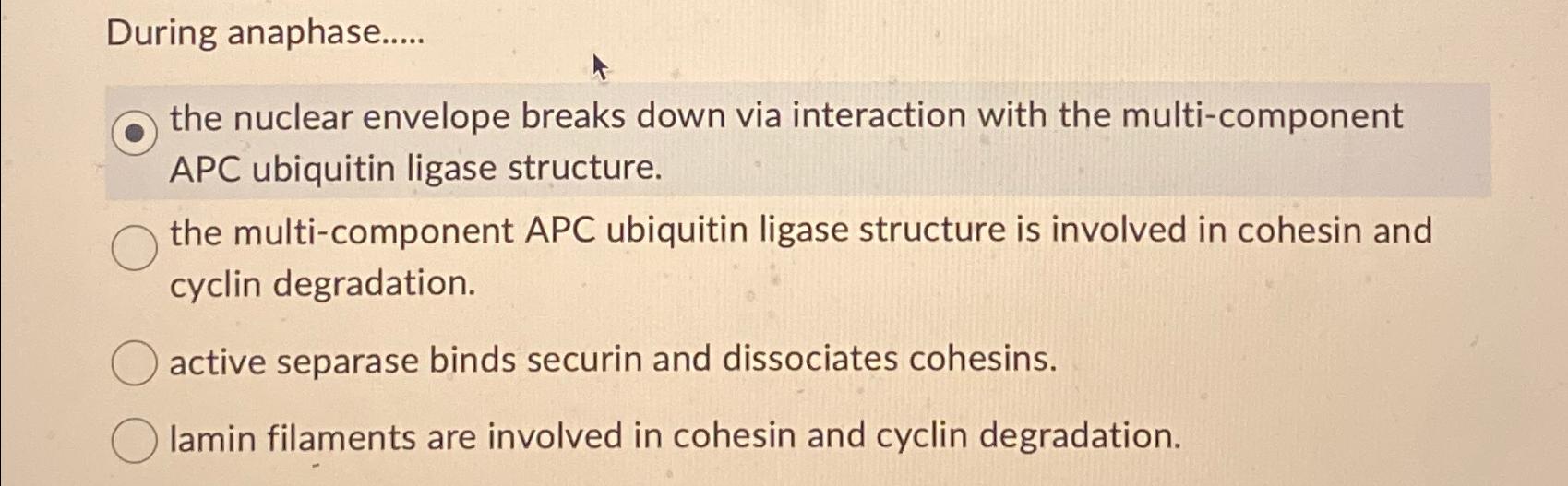 Solved During anaphase.....the nuclear envelope breaks down | Chegg.com