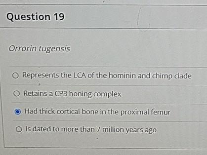 Solved Question 15 Eastern African depositional | Chegg.com