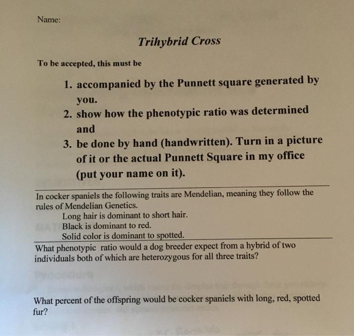 Trihybrid Cross Punnett Square
