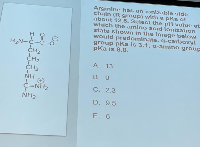Solved Arginine has an ionizable side chain (R group) with a | Chegg.com