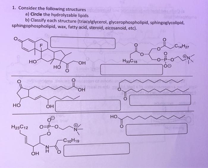 Solved 1. Consider the following structures a) Circle the | Chegg.com
