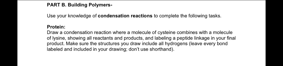 Solved PART B. ﻿Building Polymers-Use your knowledge of | Chegg.com