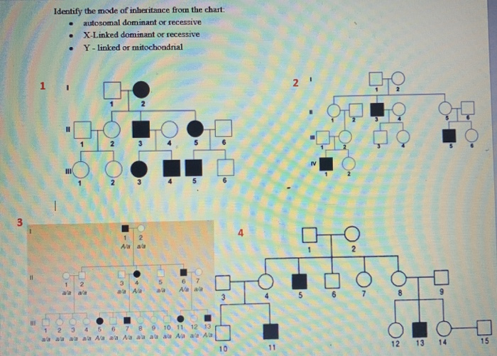 Solved Identify the mode of inheritance from the chart: | Chegg.com