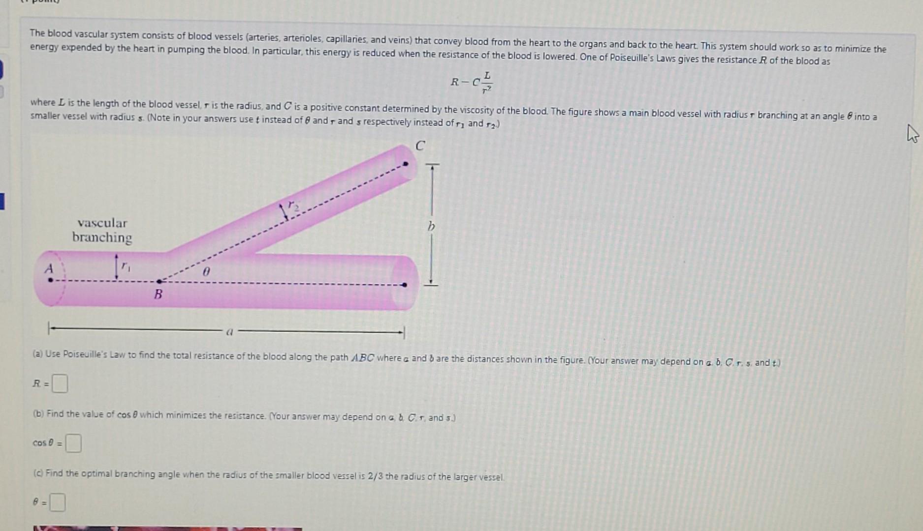 Solved R-CLr2smaller vessel with radius s. (Note in your | Chegg.com