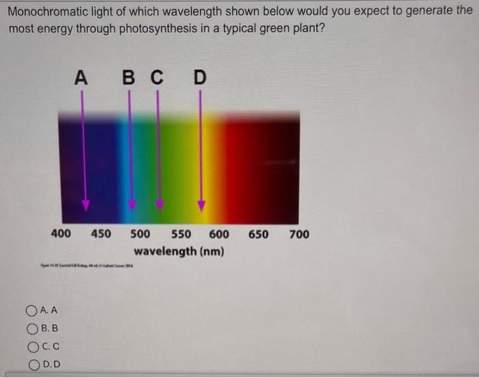 Solved Monochromatic light of which wavelength shown below | Chegg.com