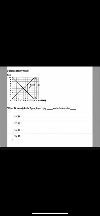 Solved Figue: Subsidy Wedge With a 34 subtidy in ate figurs, | Chegg.com