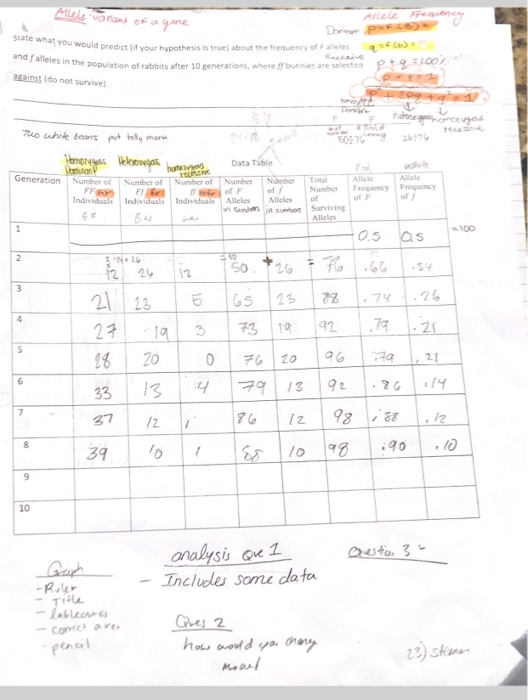 Solved Breeding Bunnies: Discussion Questions Trlyecome data | Chegg.com