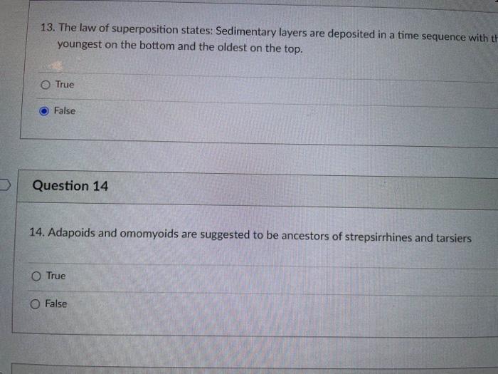 Solved 13. The law of superposition states: Sedimentary | Chegg.com