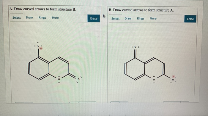 Solved Add curved arrows to both structures to show the | Chegg.com