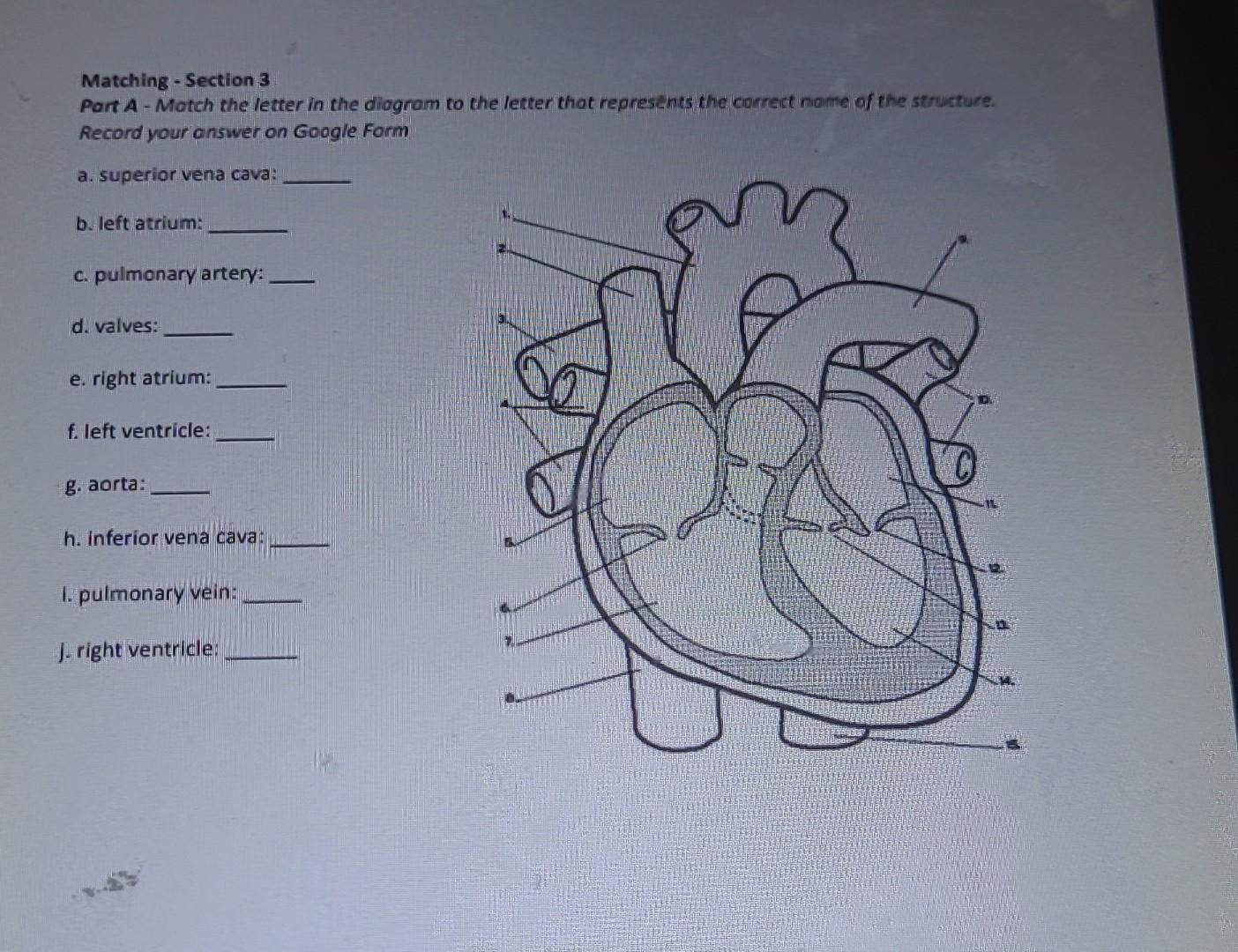 Solved Matching - Section 3 Part A - Match the letter in the | Chegg.com