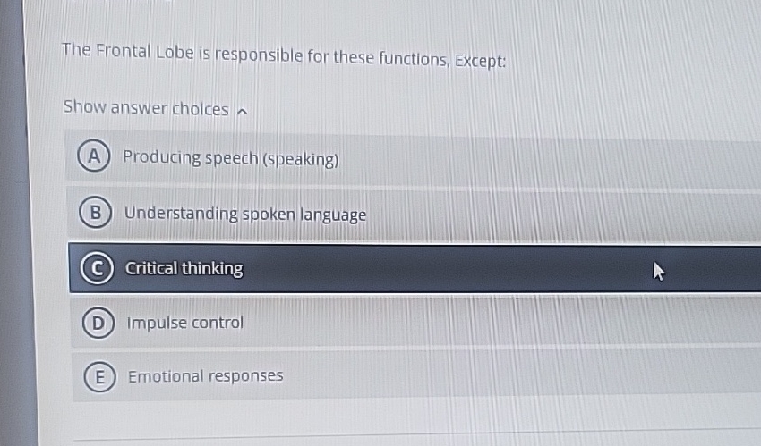 Solved The Frontal Lobe is responsible for these functions, | Chegg.com