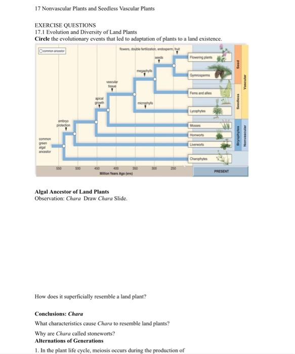 Solved QUESTIONS 17.1 Evolution and Diversity of Land Plants | Chegg.com