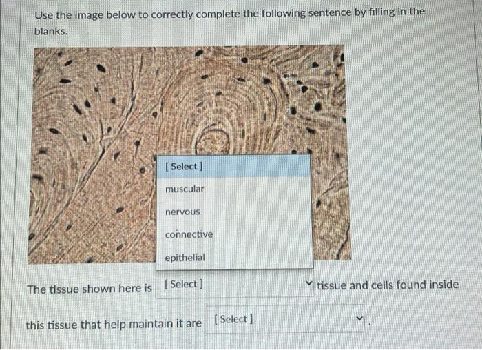Solved Use the image below to correctly complete the | Chegg.com