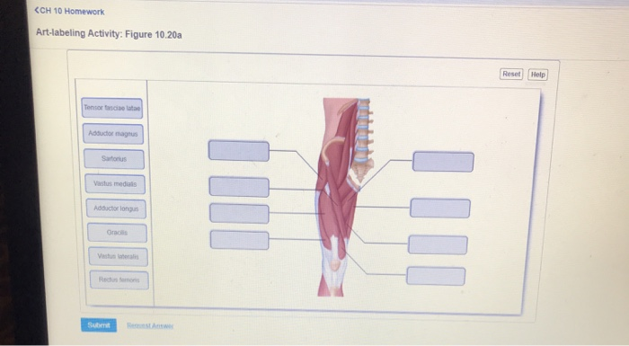 Solved Question | Chegg.com